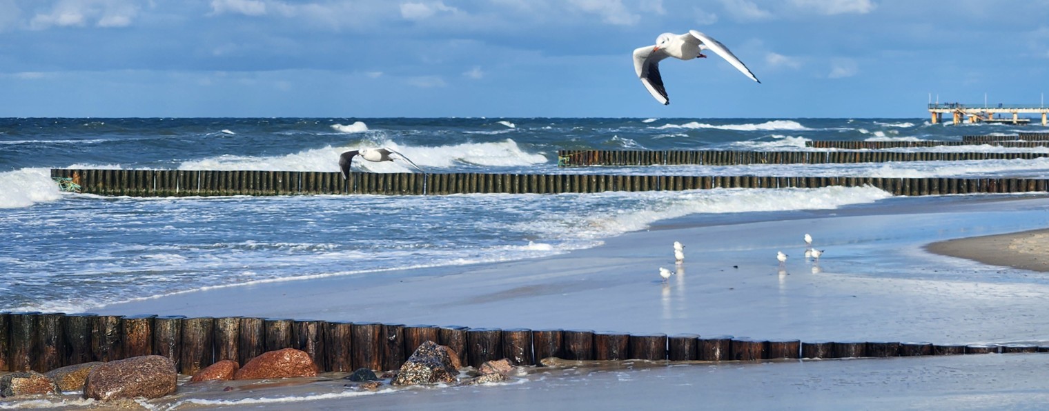 Живая фотография