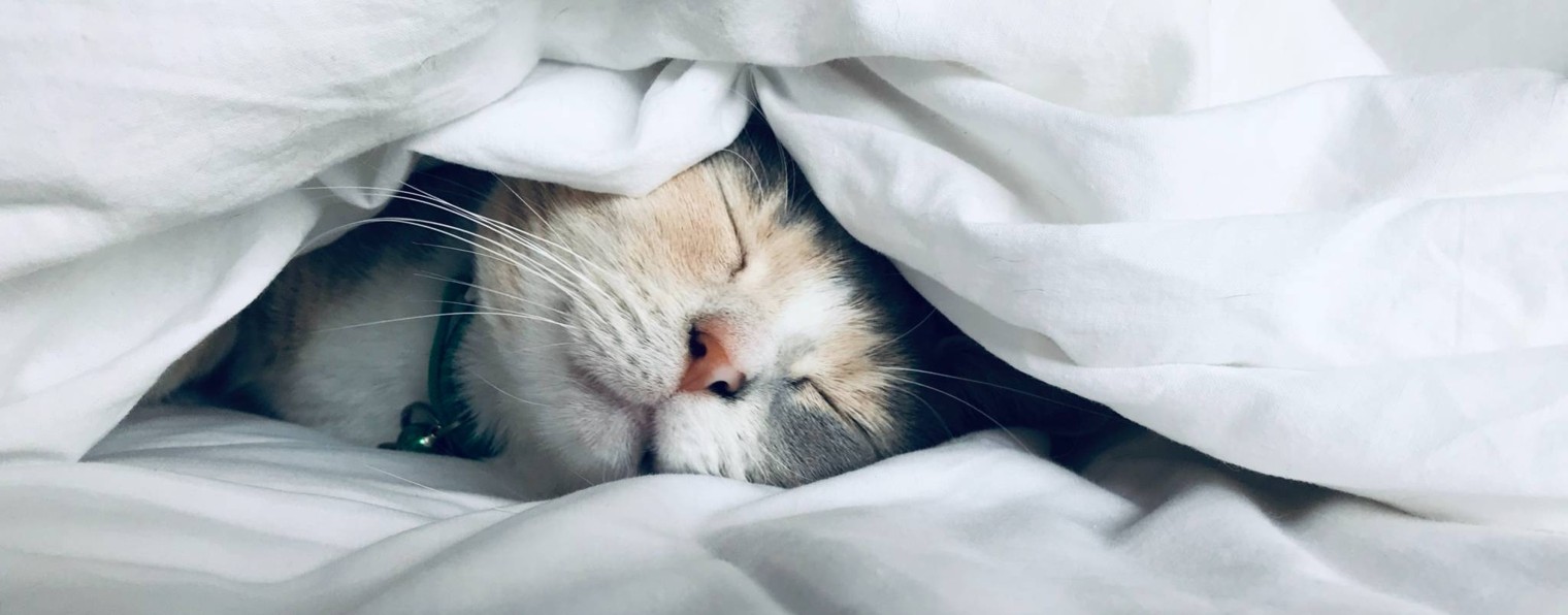 Атмосфера Сна