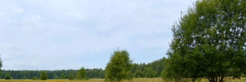 Ольга Тразанова