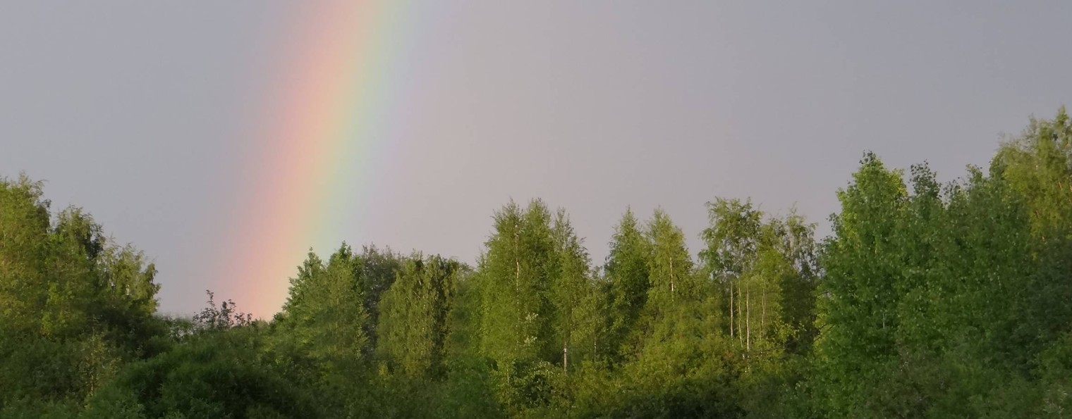 Николай Богомолов