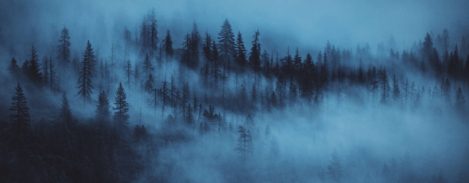 Блог на коленке