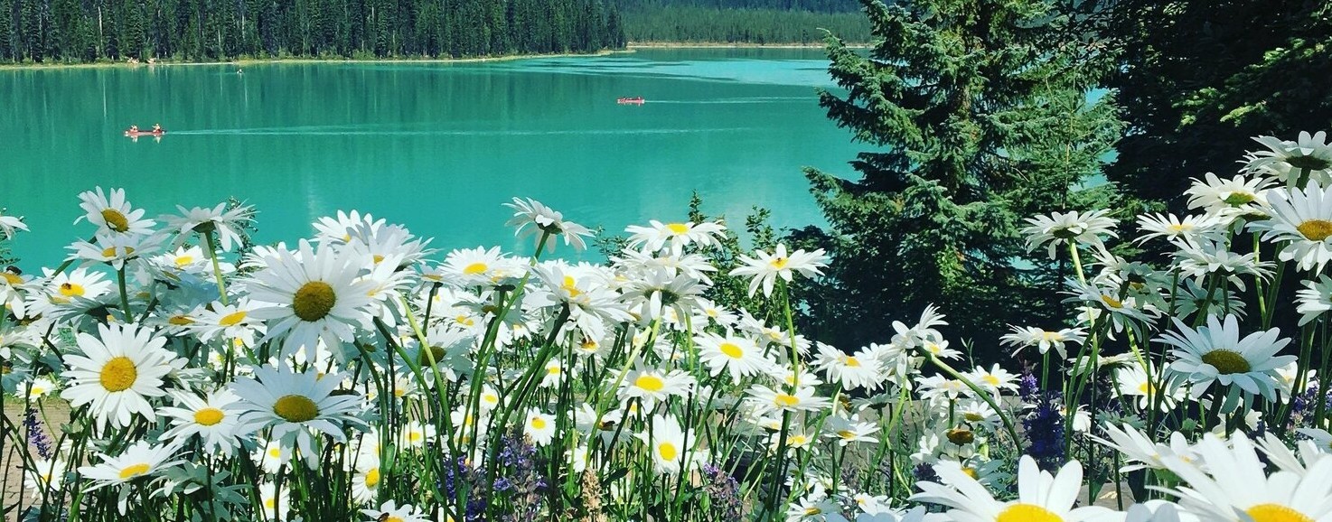 Мое мнение👌