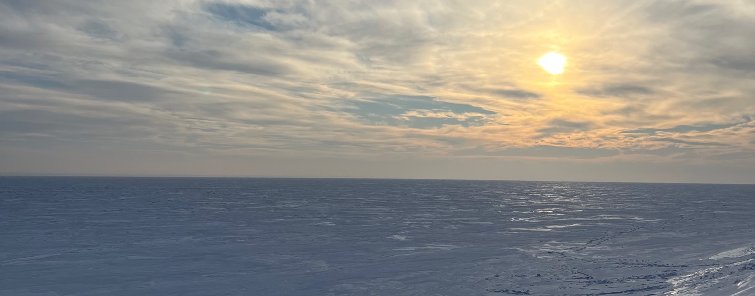 Недвижимость У Обского моря