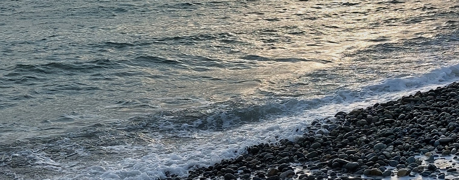 Я ♥️ Адлер