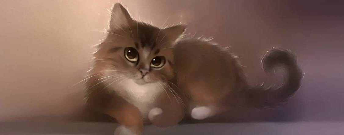 Котики