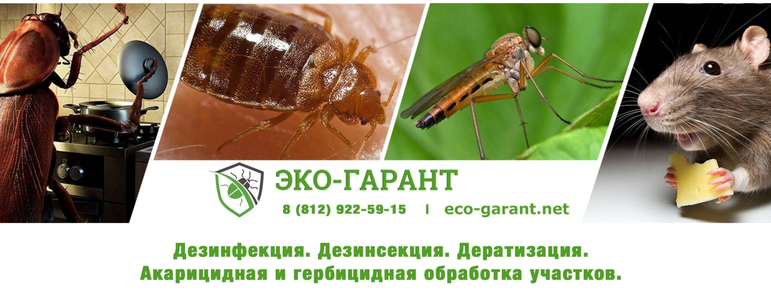ecogarant