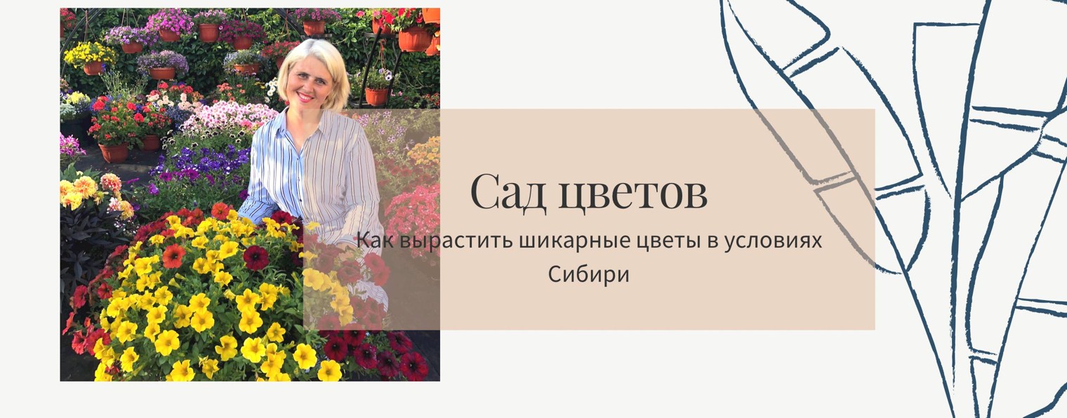 Сад цветов