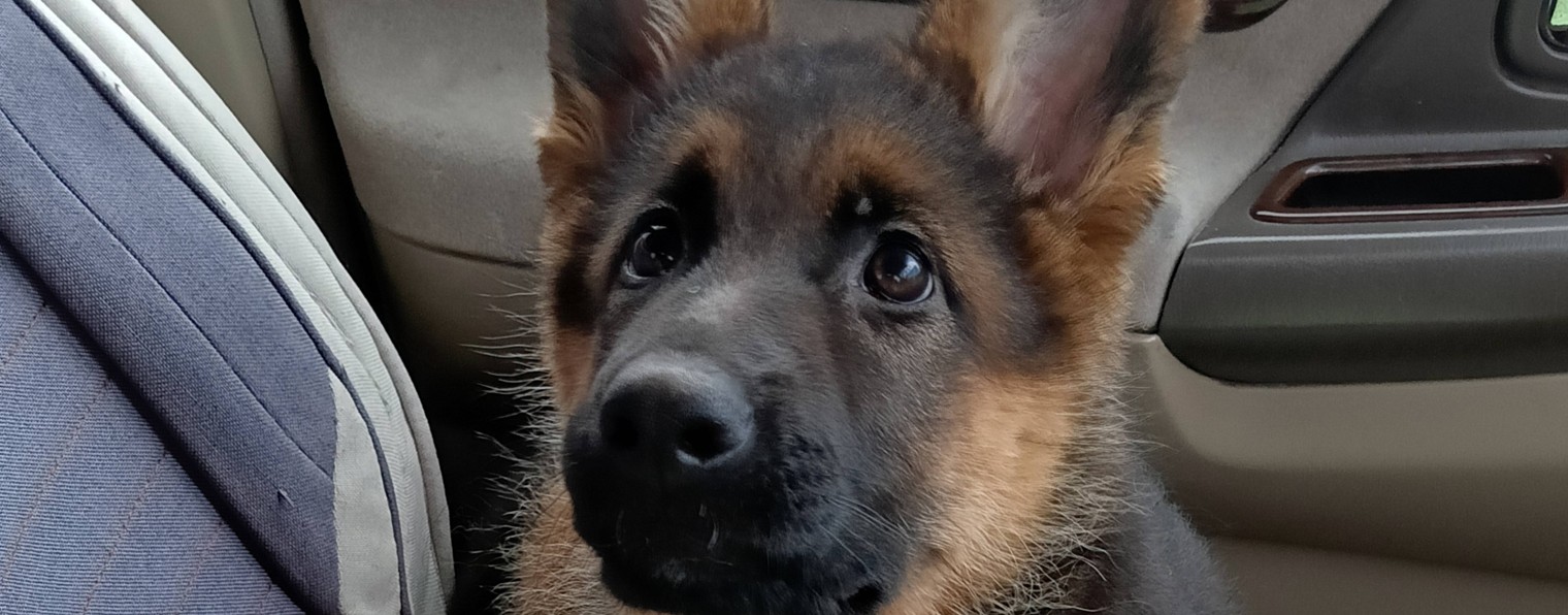 Деревенская жизнь