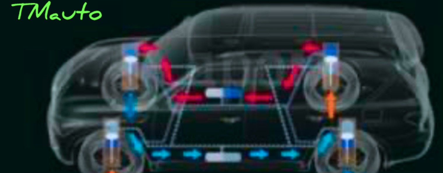 TMauto
