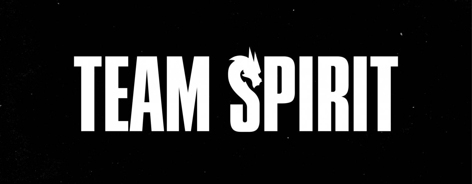 Team Spirit CS
