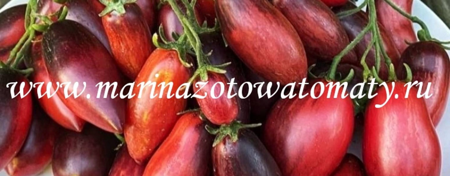 Марина Зотова Томаты