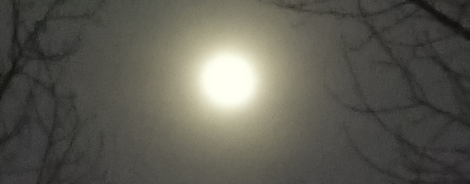 жизнь снюсоедов