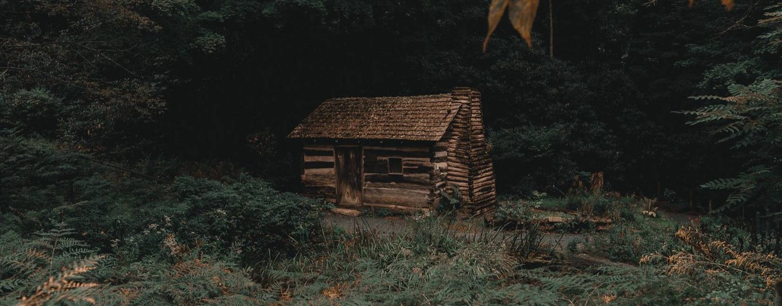 Лесной Кемпинг