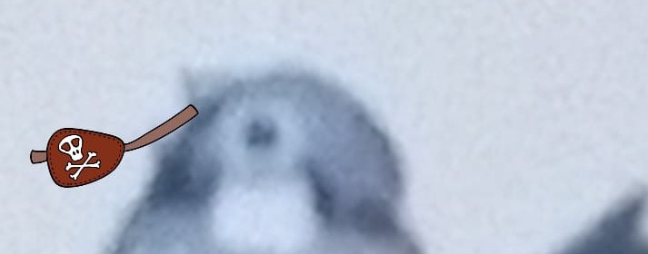 Максим и Егор