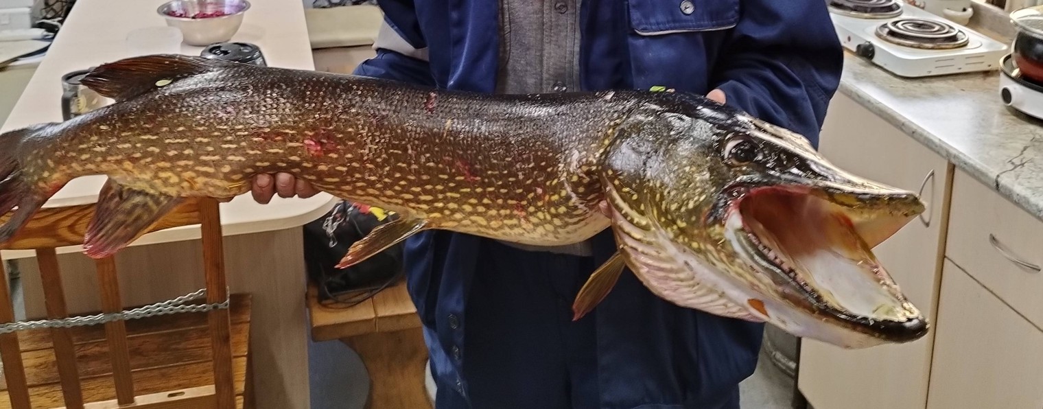 РЫБАНУТЫЕ Russian fishing