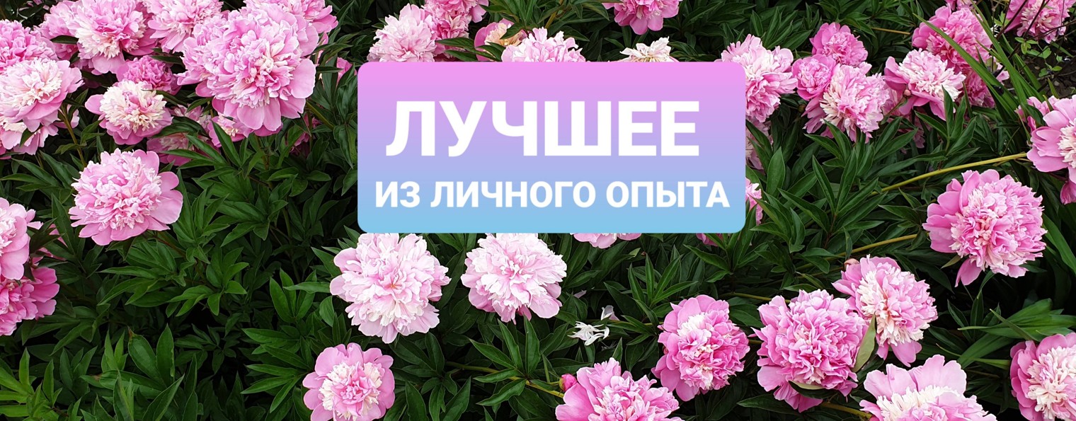 Лучшее из личного опыта