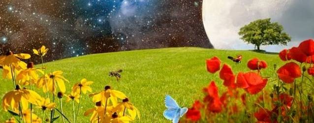 Доктор Синяков