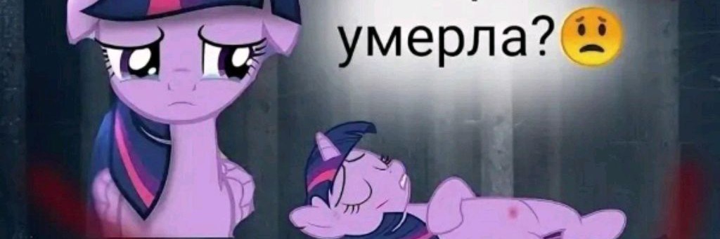 Май Литтл Пони12