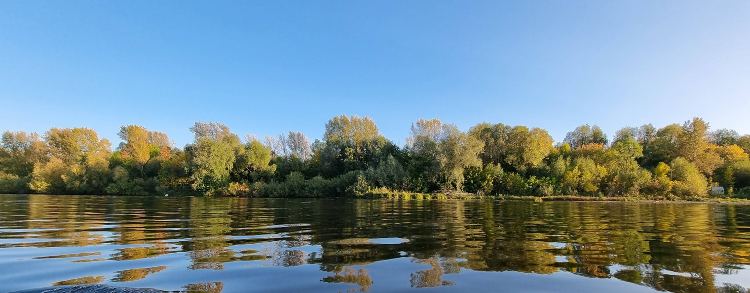 Петриха сити. Деревенский дворик