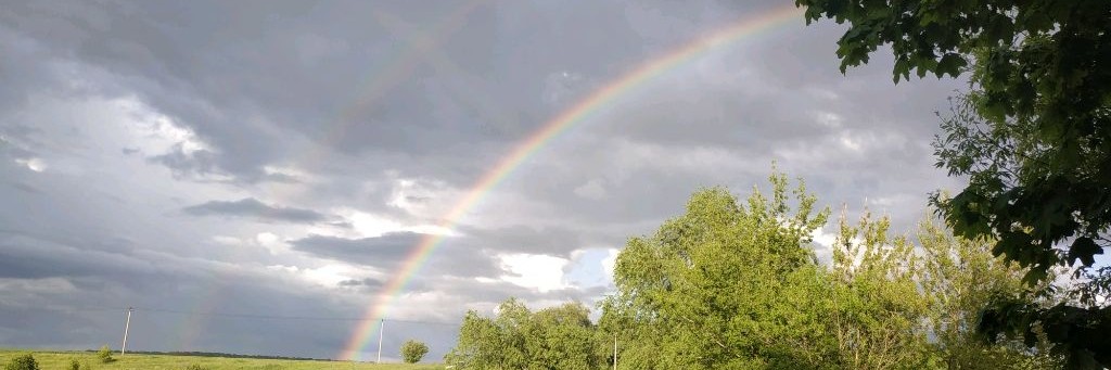 СТАРЫЙ ТРУТЕНЬ