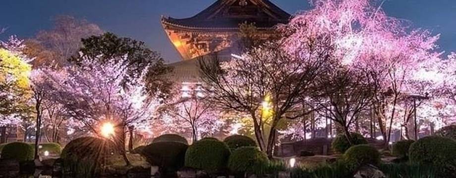 "Сакура" студия красоты.