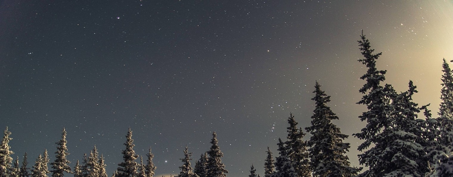 Анна Аникина