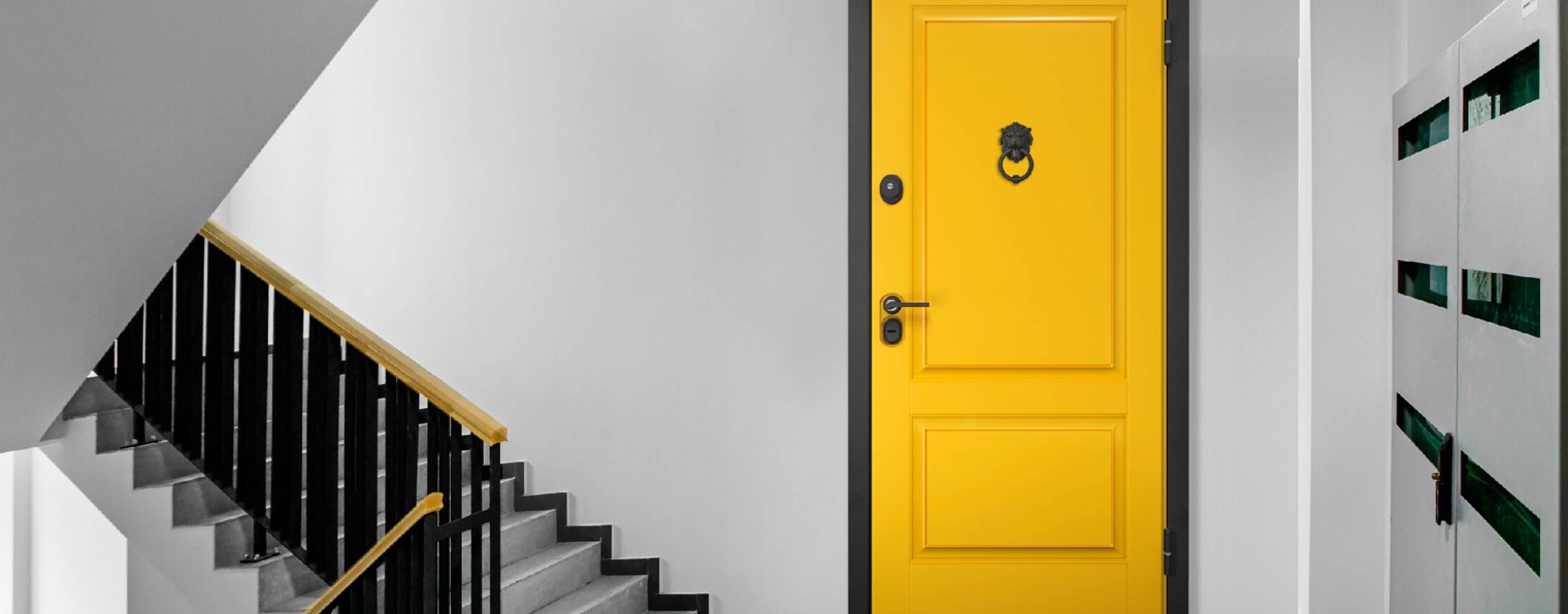 Двери из стали