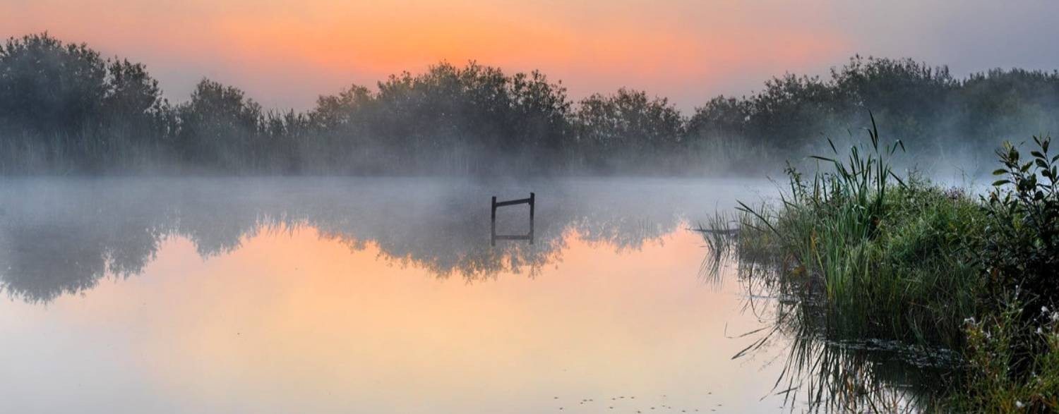 Вера ЗВЕЗДОВА  музпрогулки