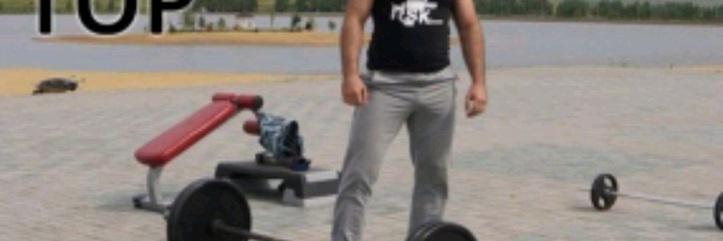 Свидетели Гора