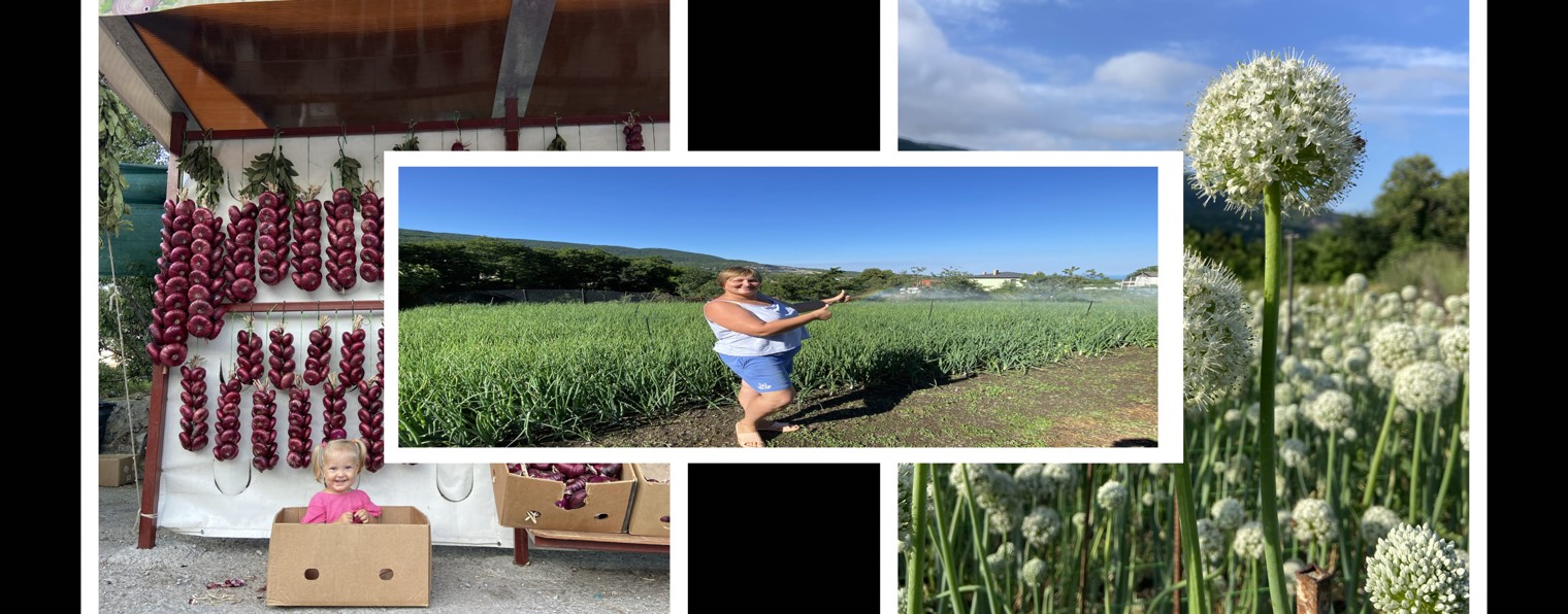 Ялтинский лук