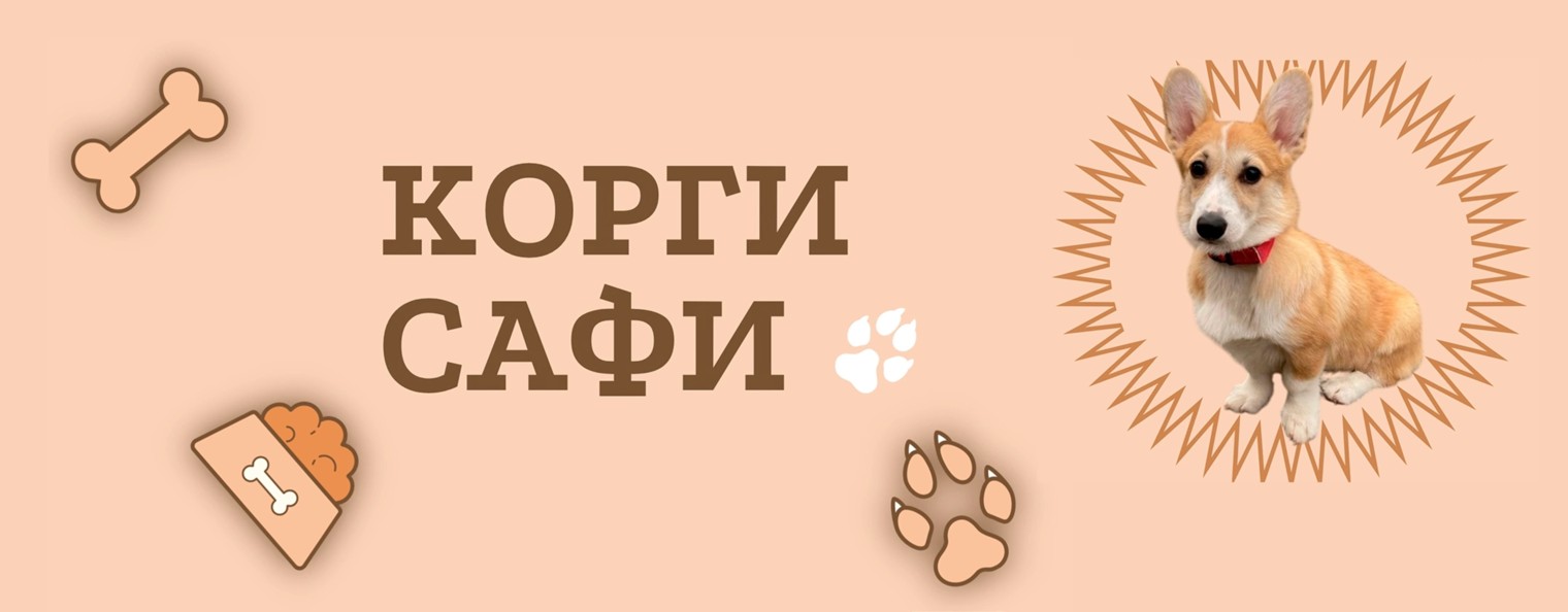 Корги Сафи