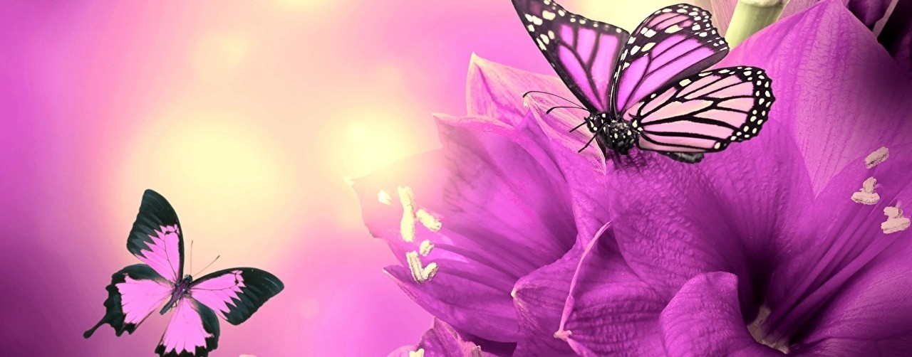 Светлана Липецк