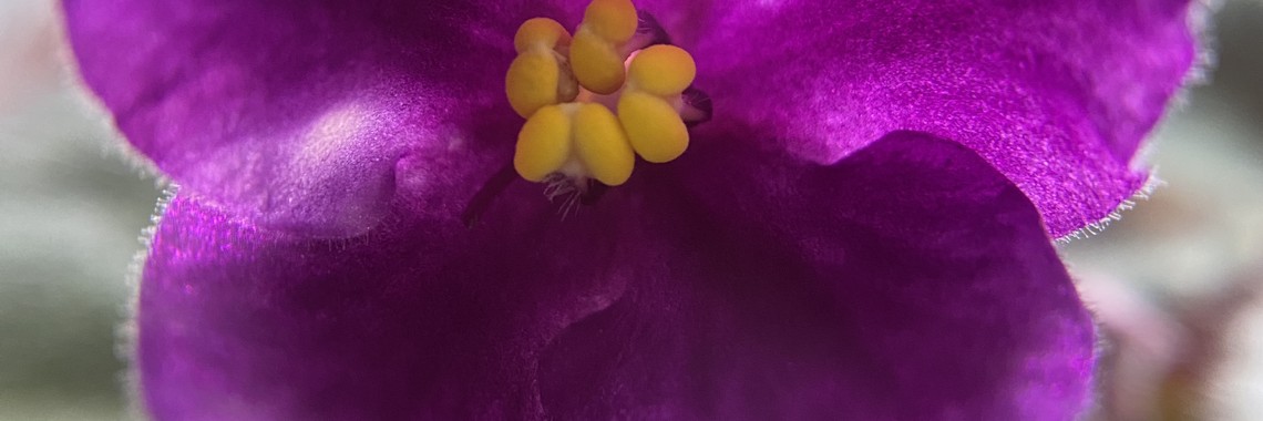 OlgaKolechko 🫶🏻