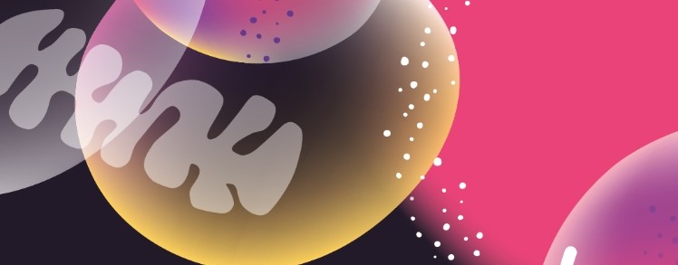 PRO-ЗДОРОВЬЕ