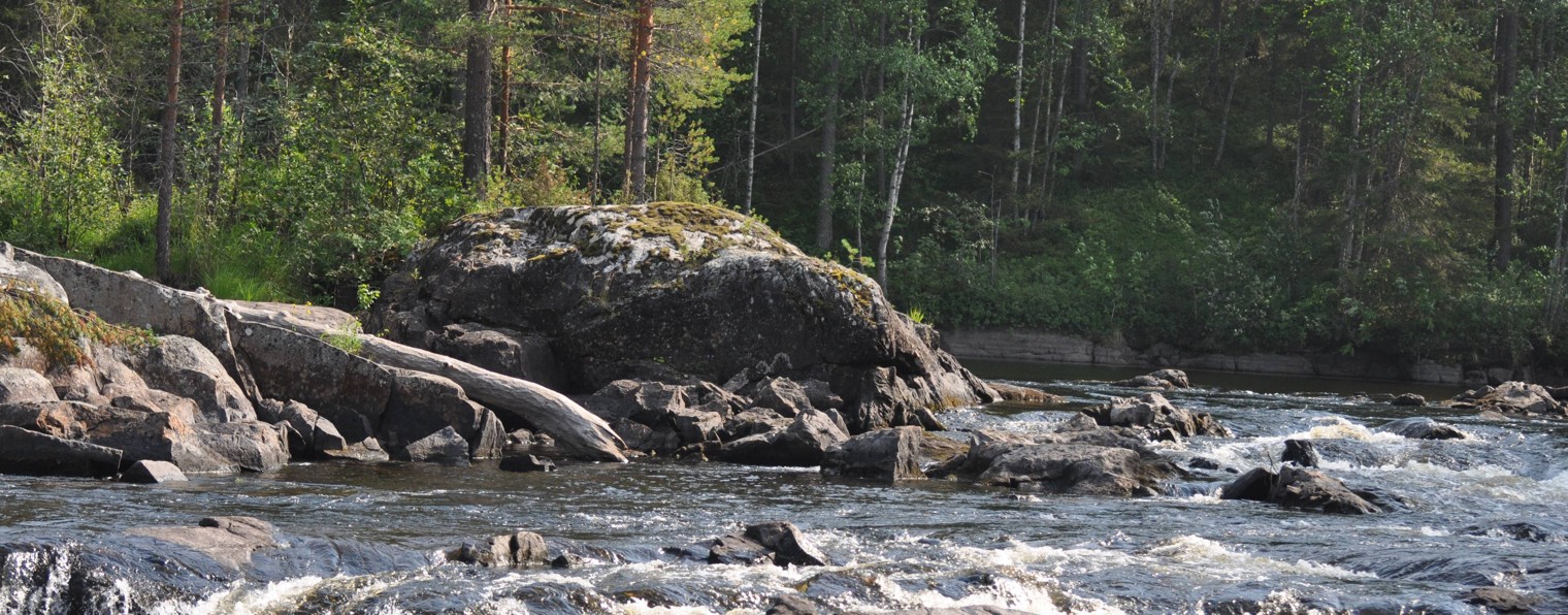 Сезонное Хобби.