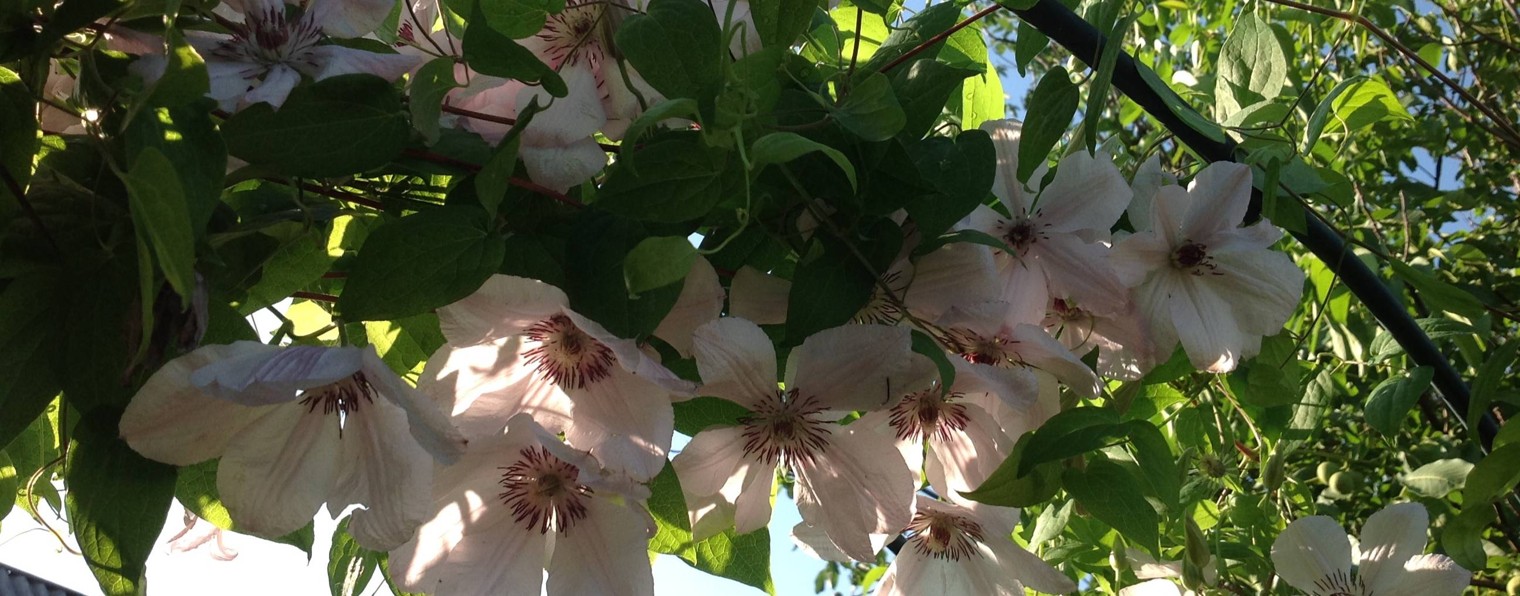 Татьяна Плотникова