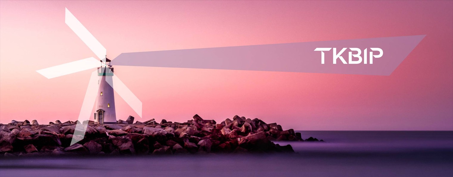 ТКБ Инвестмент Партнерс