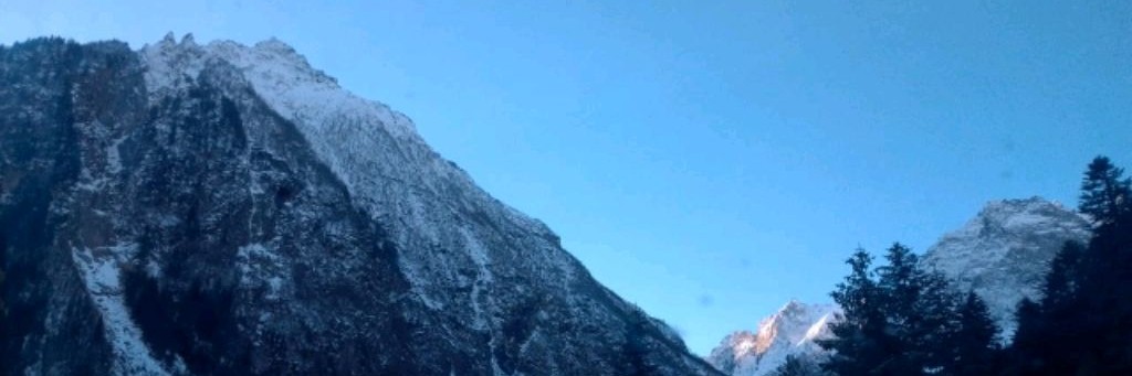 Наталья Шмойлова