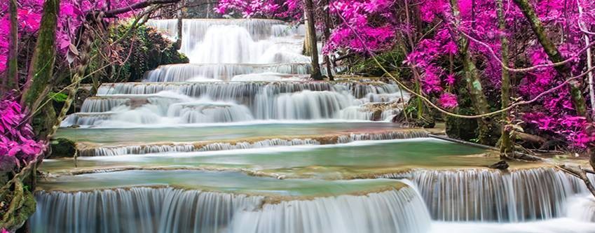 Студия Здоровья Д.Дербизова