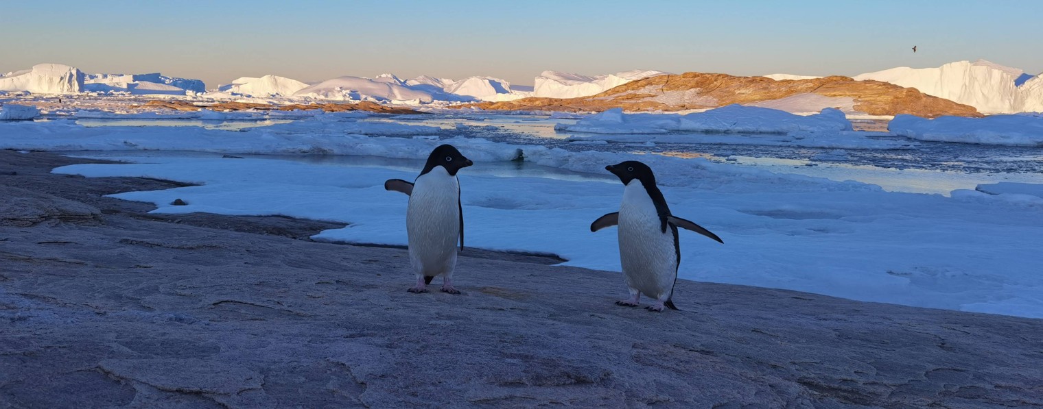 Aleksandr Lenchukov Nsk #Antartic