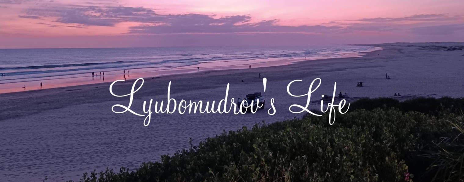 Жизнь Любомудровых