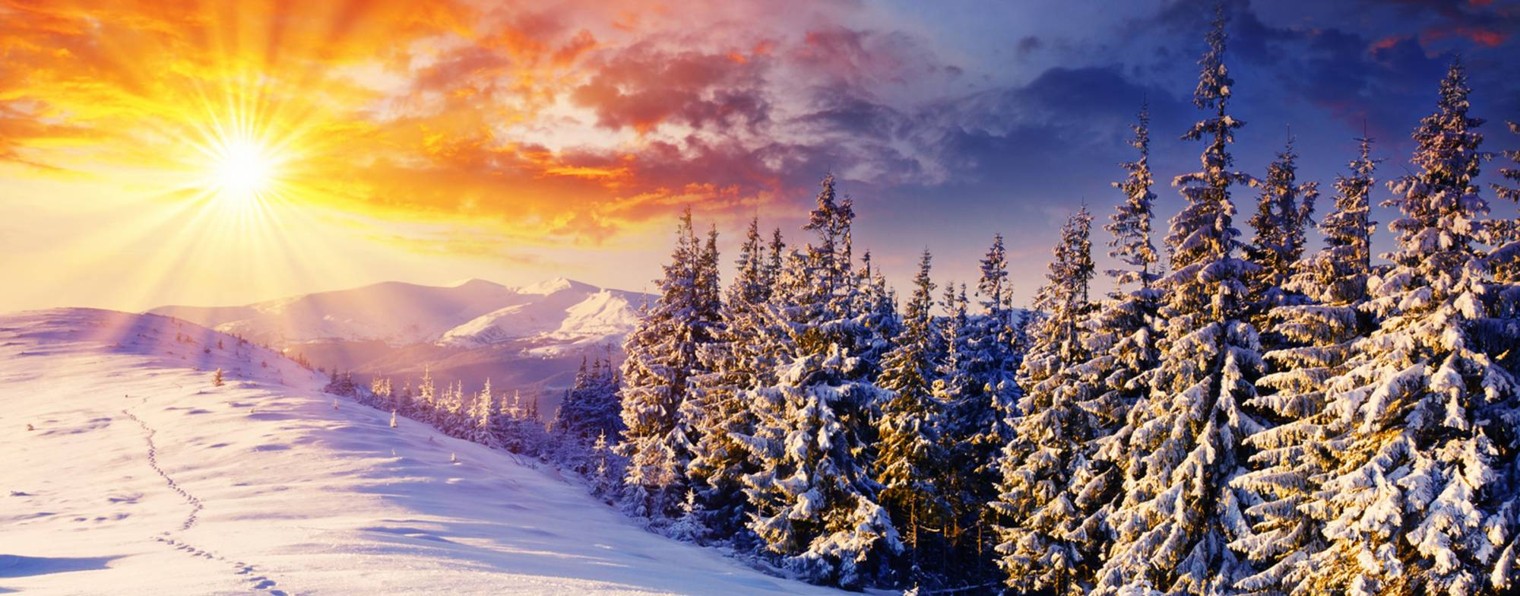 Михаил Образцов