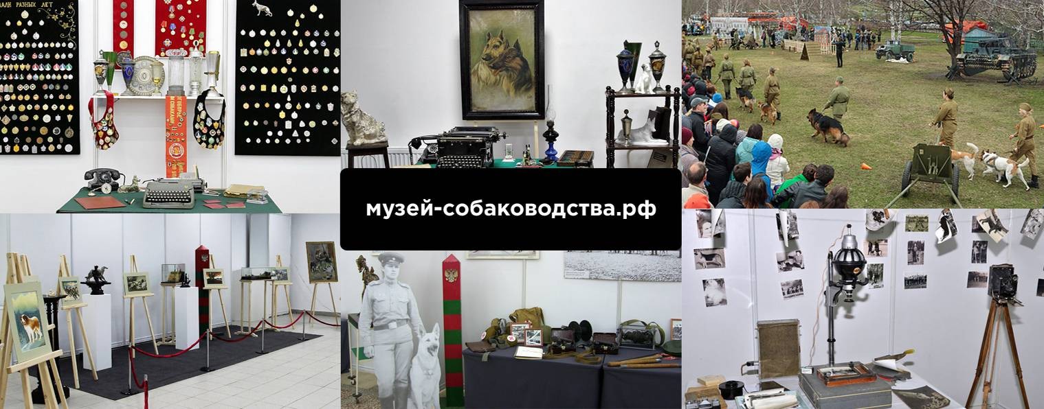 Музей собак | Музей собаководства