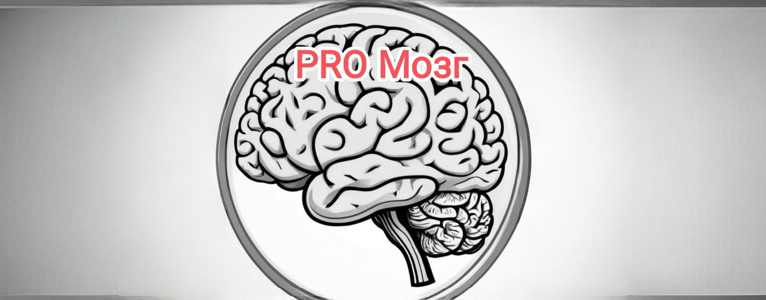 PRO Мозг