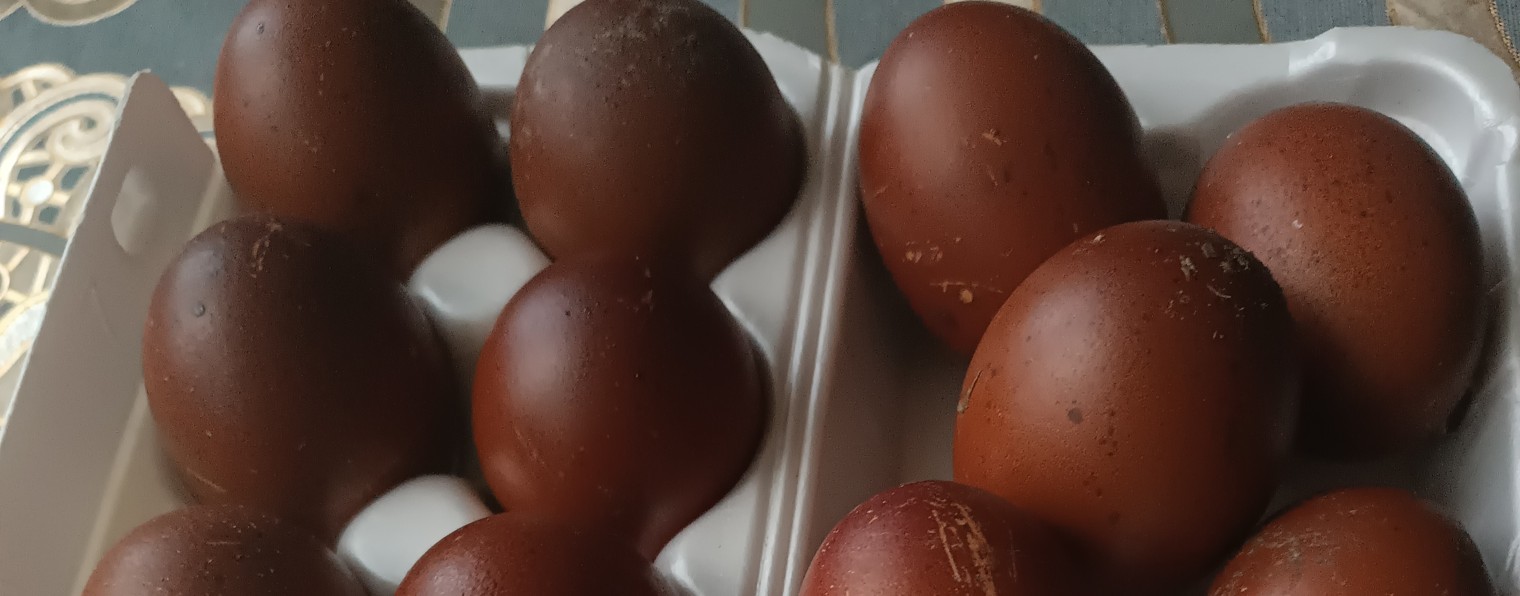 Елена Коптева