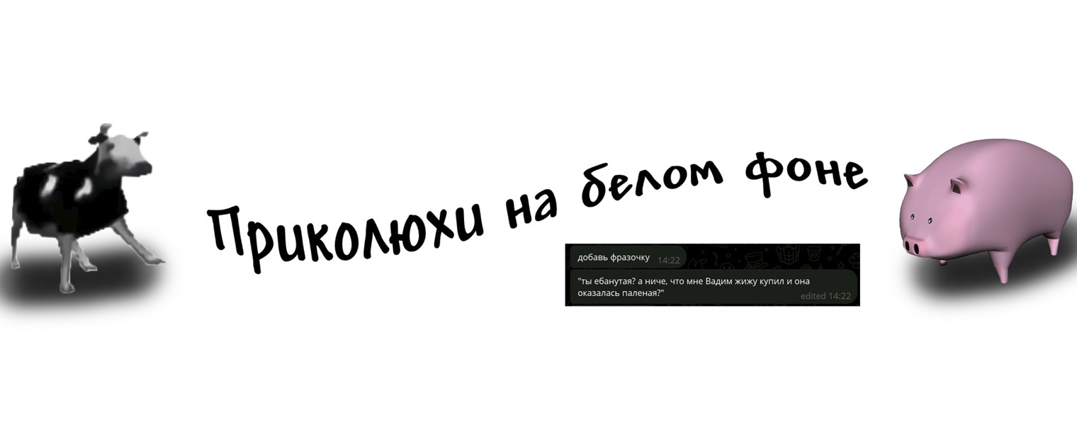 салфетка & бумага