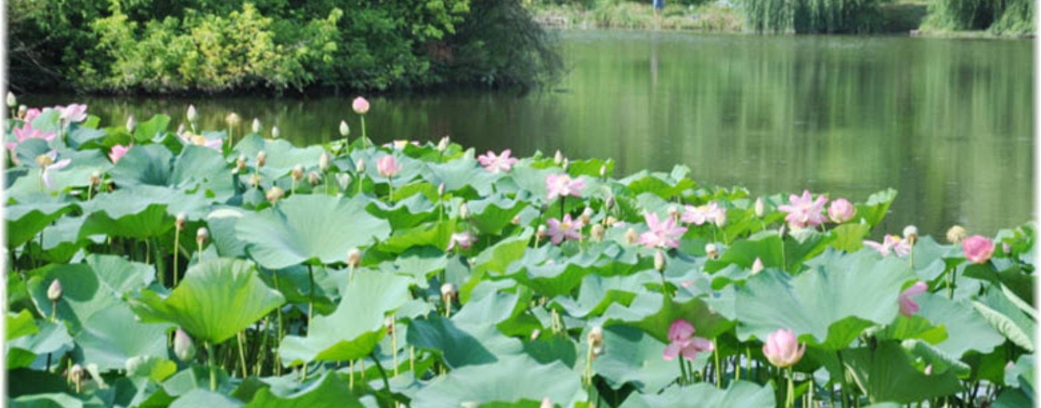 Мои музыкальные творения