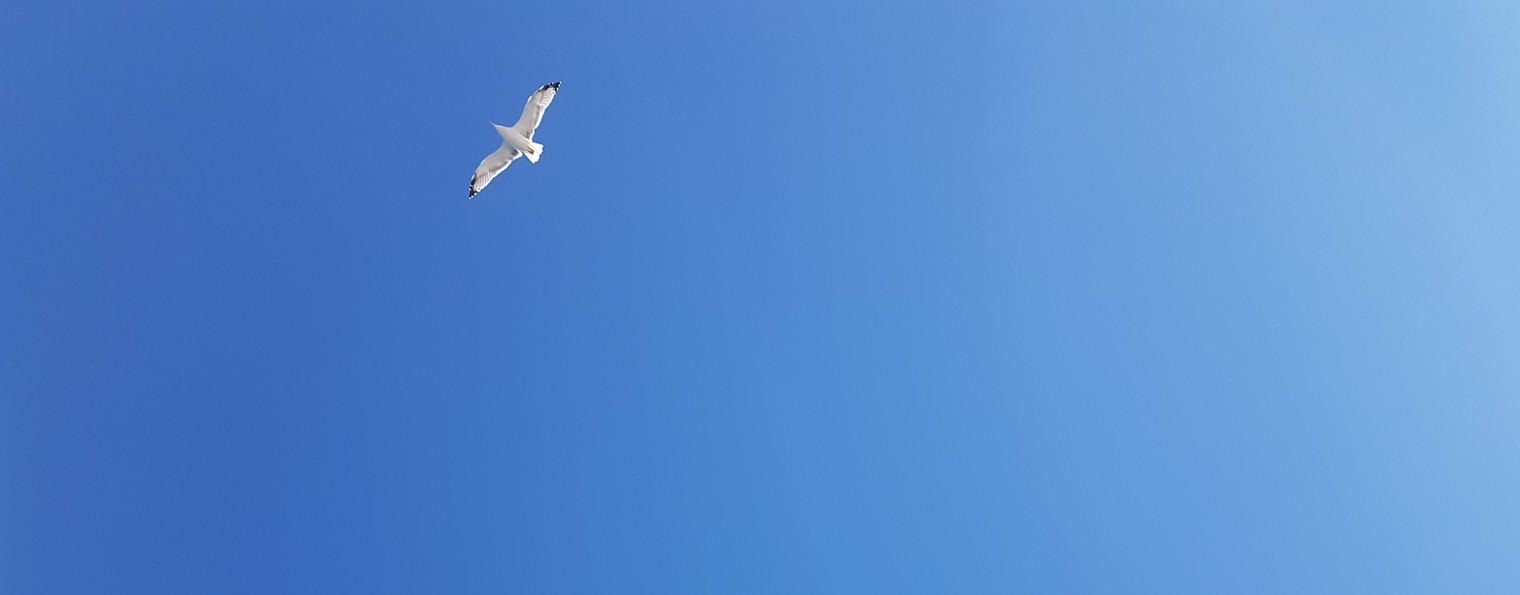 Анастасия Самылова