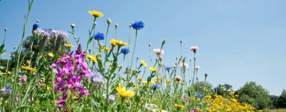 Андрей Лобазов