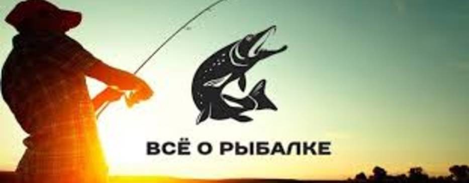 ЗОЛОТАЯ РЫБКА